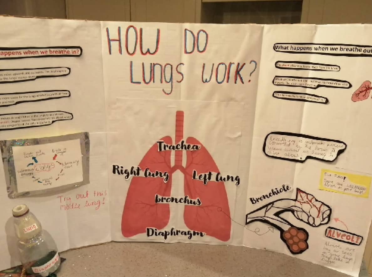 House Science Fair Winners Announced - Hazel Grove High School